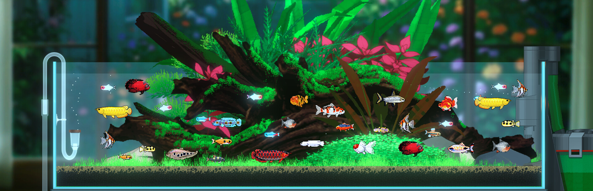 Mainkan Joyquarium Online Gratis - Bergabung dengan PL2W Game Pass